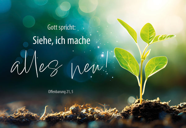 Gott spricht: Siehe, ich mache alles neu - Motiv Pflanze (Poster A3)